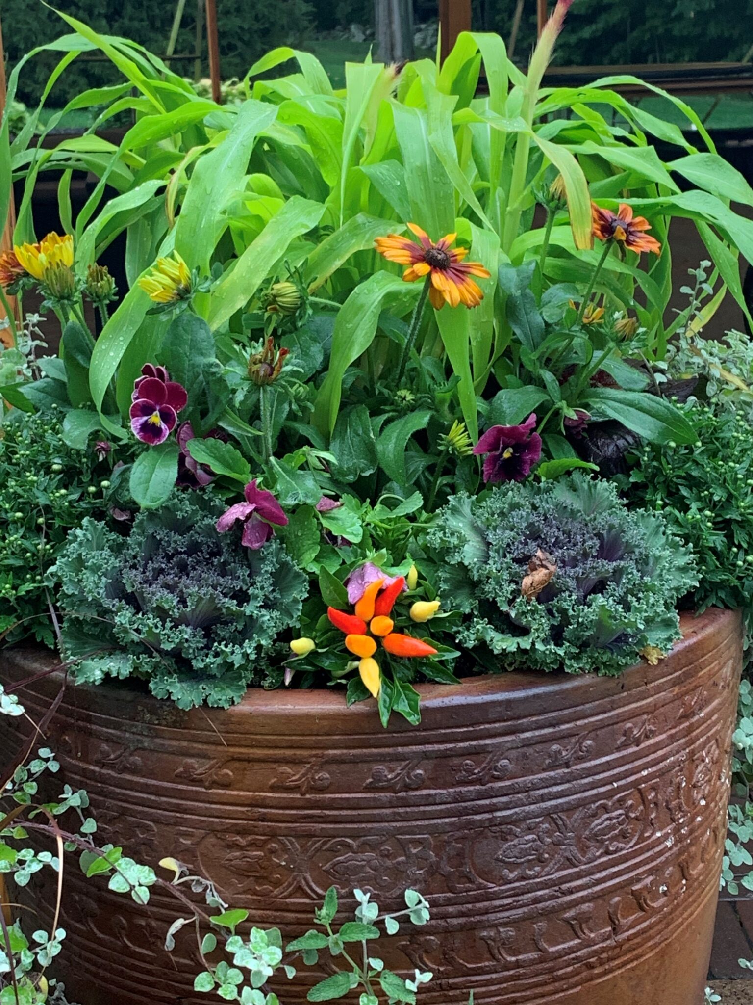 Spring Annual Installation: Expert Tips for a Vibrant Seasonal Display ...