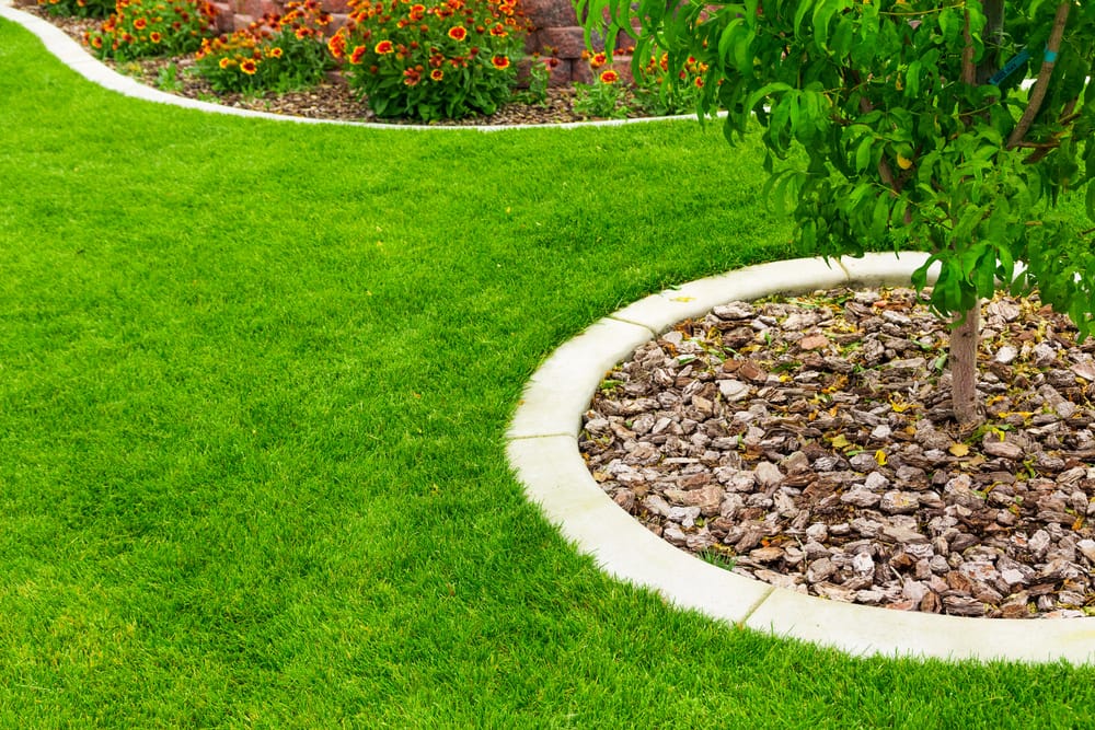 The Value of Lawn Edging: Crisp, Clean Borders for Every Property ...